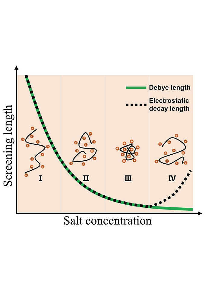 Available student project - Colloidal systems in highly concentrated ...